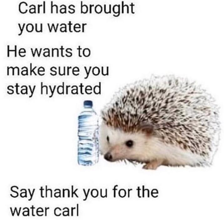 A Beginner’s Guide to Japanese Doujinshi Events – rentaBLog